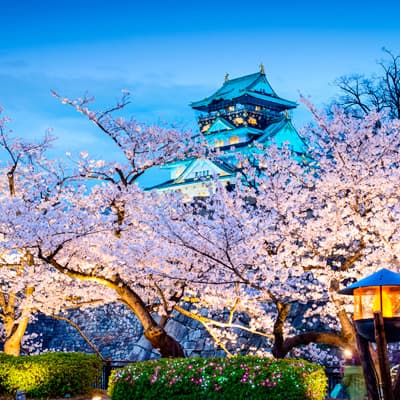 Chollo en Japón: Osaka, Kioto y Tokio desde US$1,141