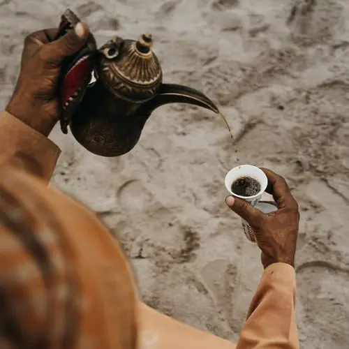 Full day Exploration in Western Dhofar ابتداء من OMR110