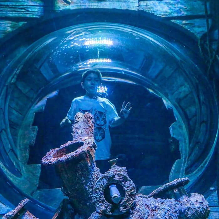 Oman Aquarium from OMR11