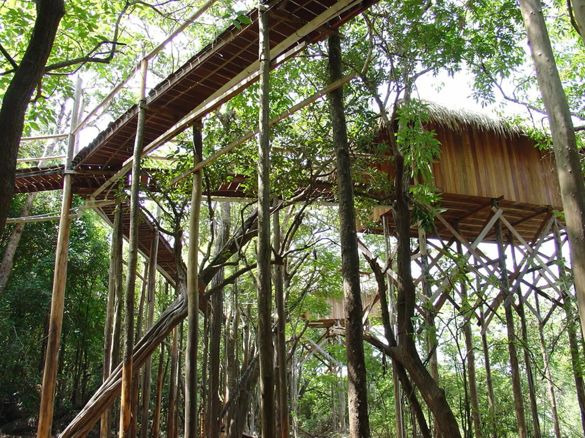 Juma Amazon Lodge - Principios Tour Operator