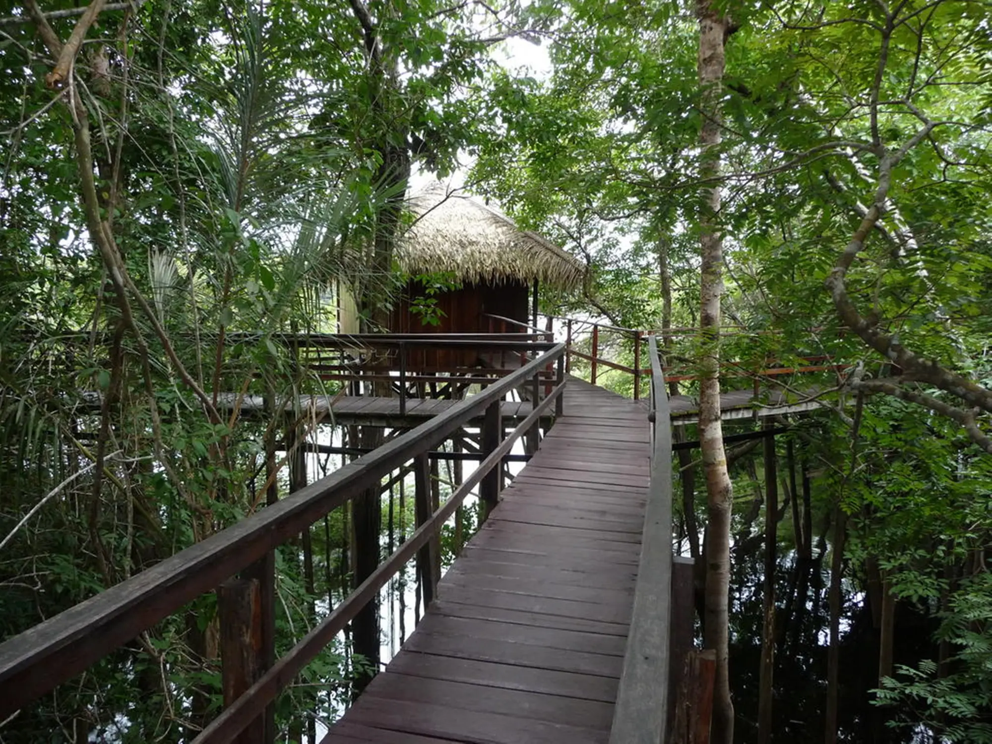 Juma Amazon Lodge - Principios Tour Operator