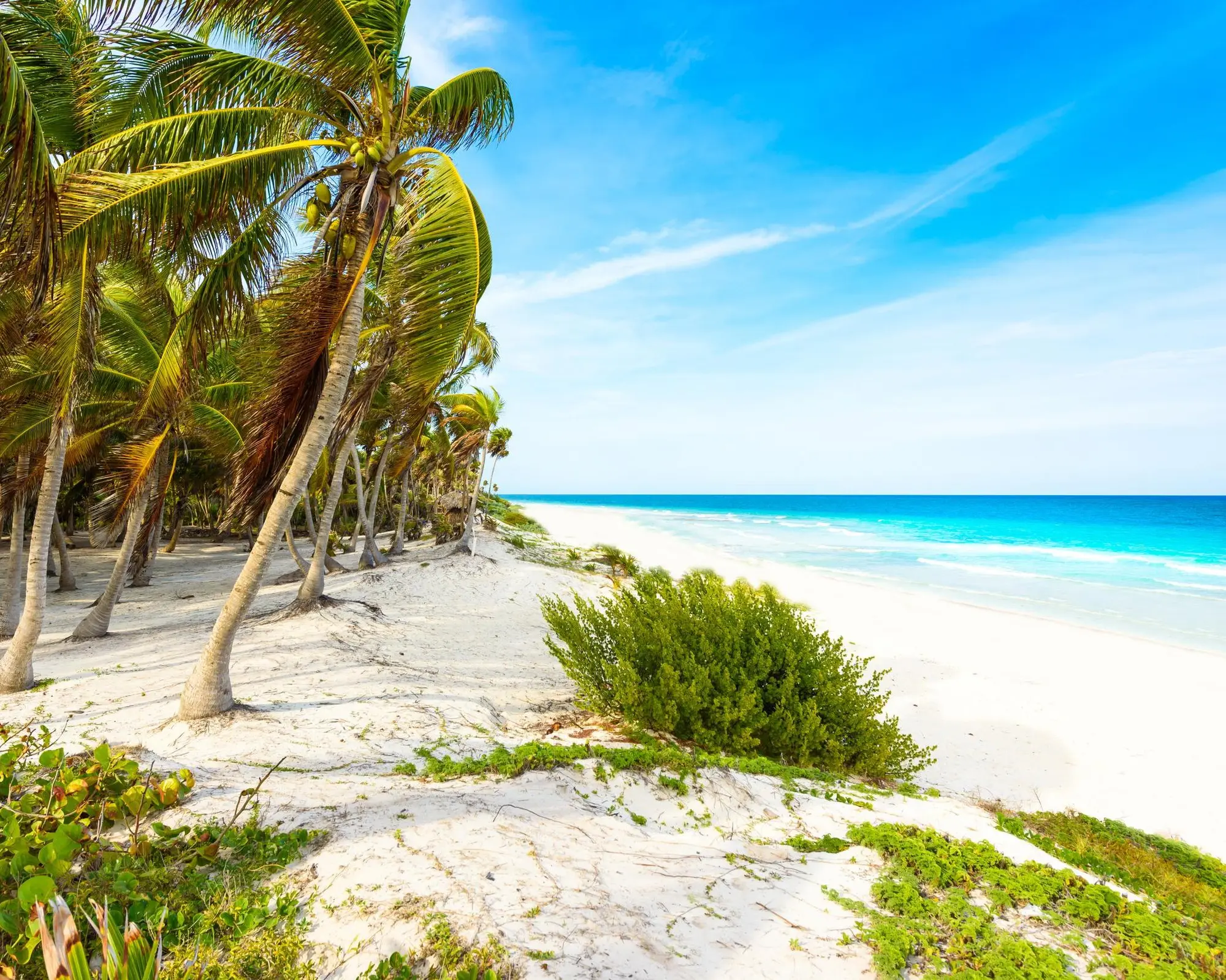 Soggiorni a Costa Mujeres / Playa Mujeres da 1.333