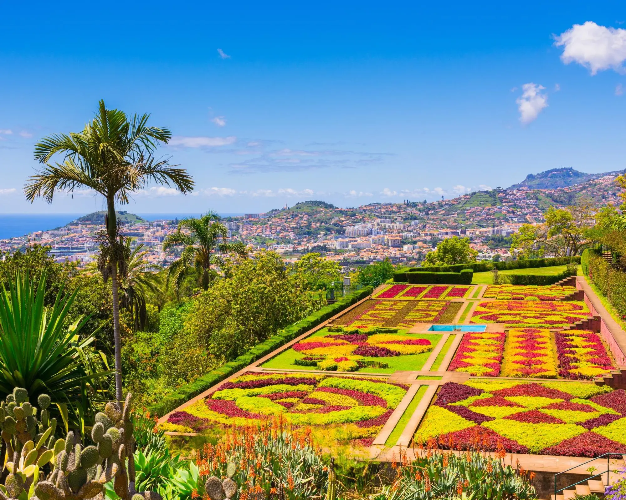 Découverte de Madère en 7 jours : Funchal, Porto Moniz et plus